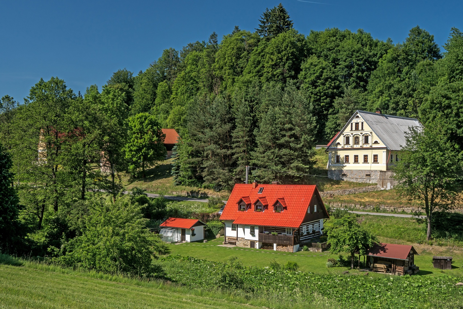 Dřevorubec roku